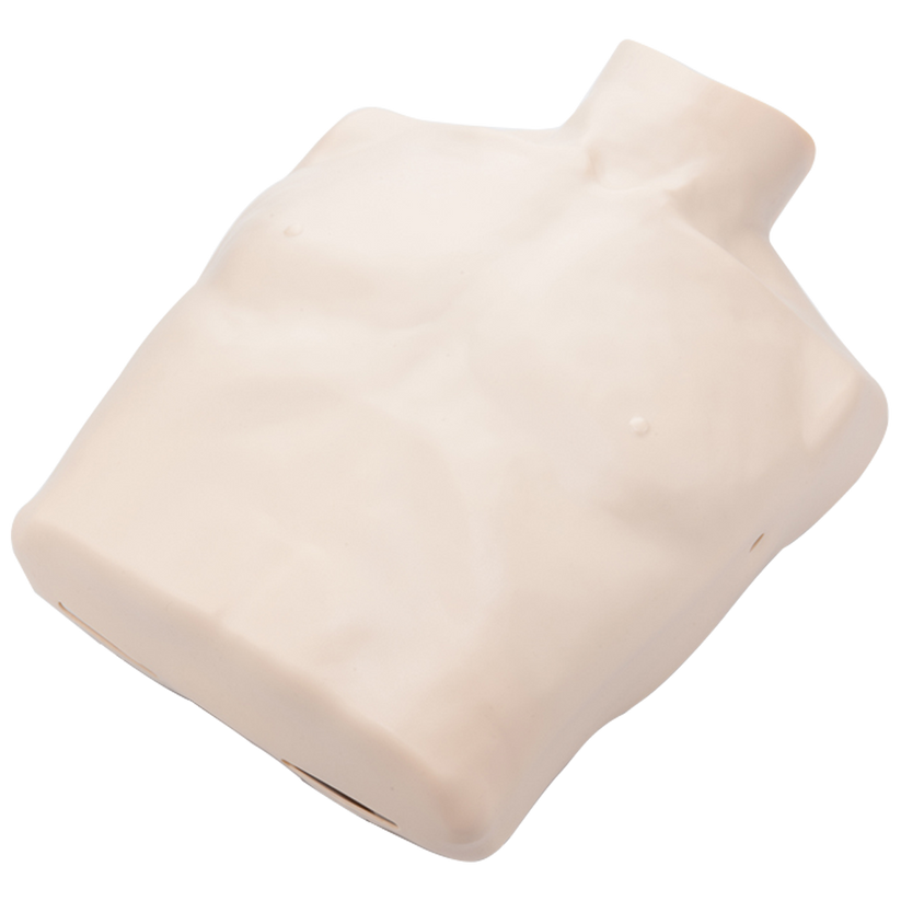 BRAYDEN Manikin Body Skin - Adult – First Aid Store Australia